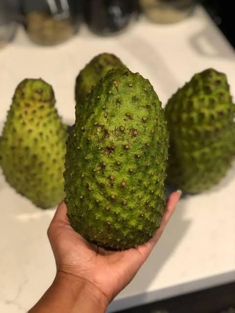 Soursop Seeds - Teewhy Group